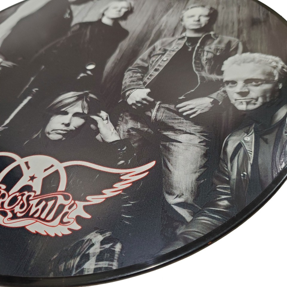 Music Bands Photo Picture Disc - Real 12" Vinyl - Upcycled Wall Art ...