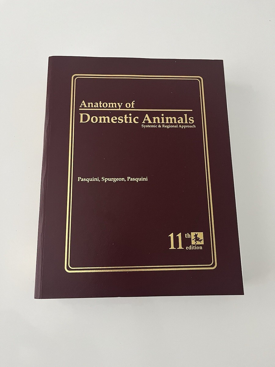 Anatomy Domestic Animals Atlas Of Topographical Anatomy Of The