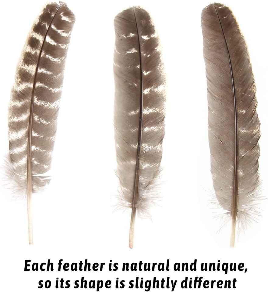 15Pcs Natural Turkey Feather, 10-11 Inches Wild Turkey Feathers for ...