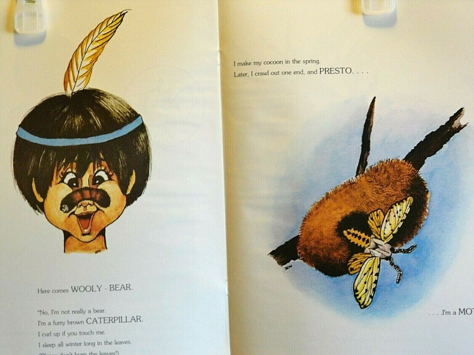 NEW! Please Don't Step On Me - Native American Indian Childrens Book | eBay