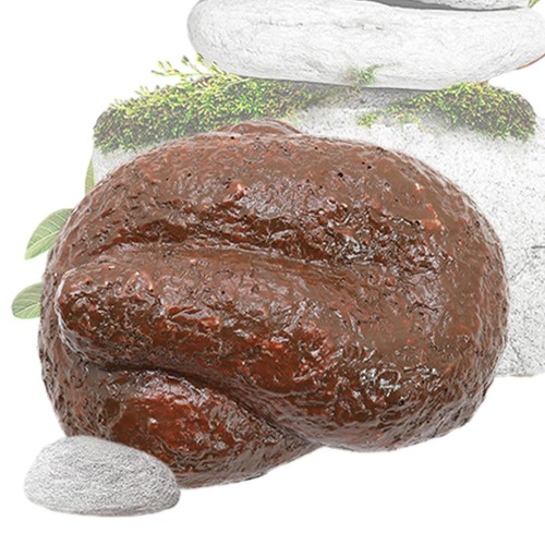 Spare Key Hider Resin Poop Shape Key Holder for Spare Keys Weatherproof ...