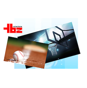 TBZ Collections | eBay Stores