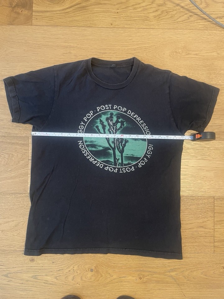 Iggy Pop Post Pop Depression 2016 Tour I Was At The Show Last Night T ...