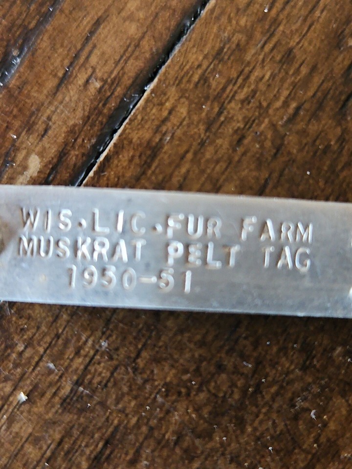 VTG 1950 - 51 Wisconsin Fur Farm Trap Tag Hunting License MUSKRAT PELT ...