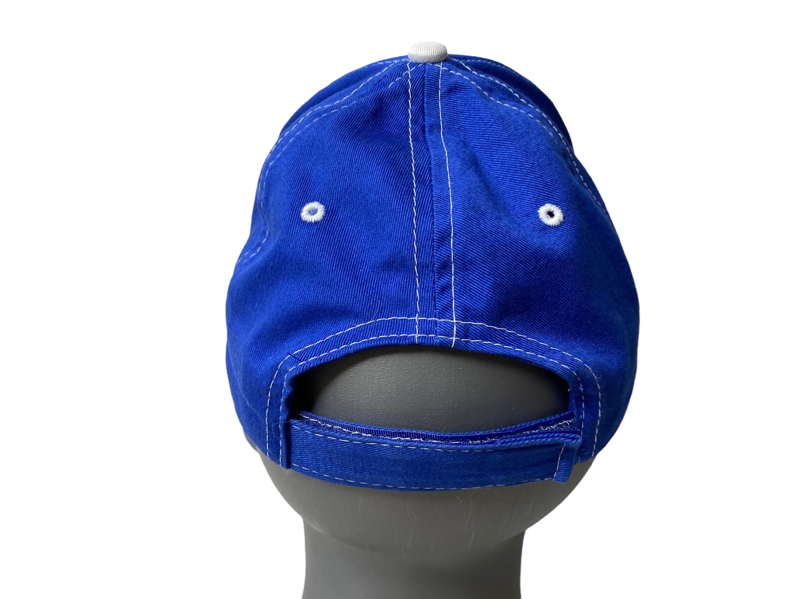 Bud Light NFL Blue Baseball Cap | eBay