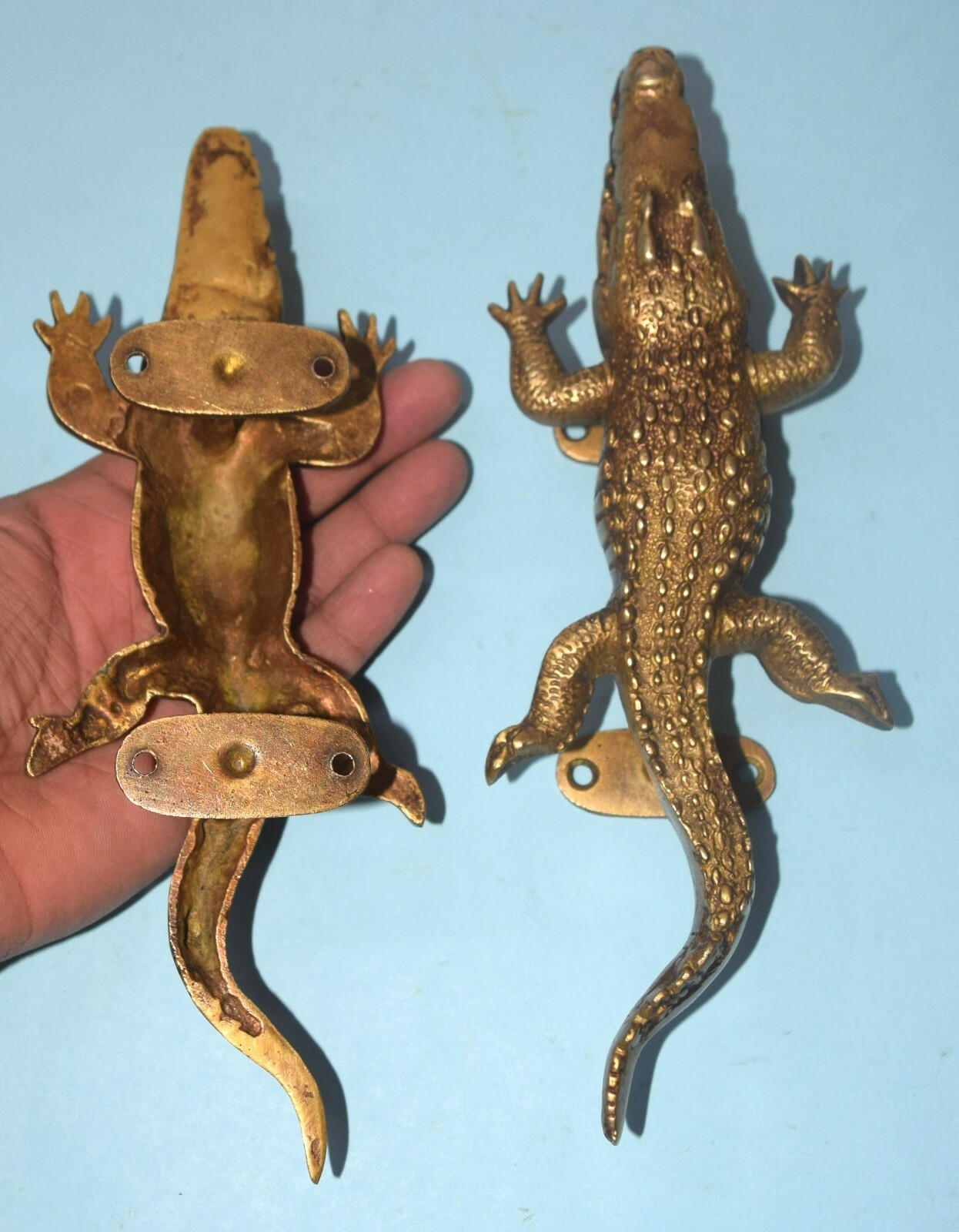 Polished Brass Hollow Lizard Door Pull Set Grab Style Crocodile Door ...