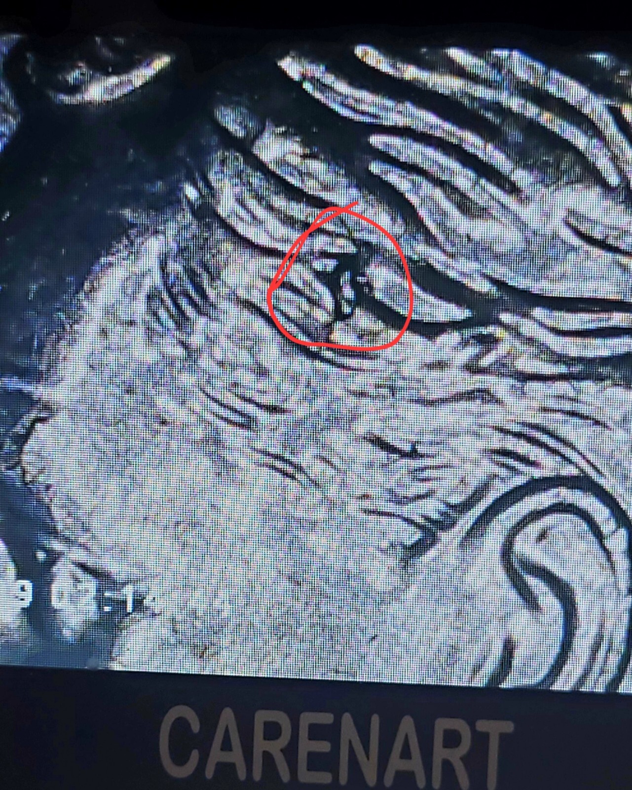 2021-P Roosevelt Dime, Error Coin, Die Chip, Rare Find | eBay