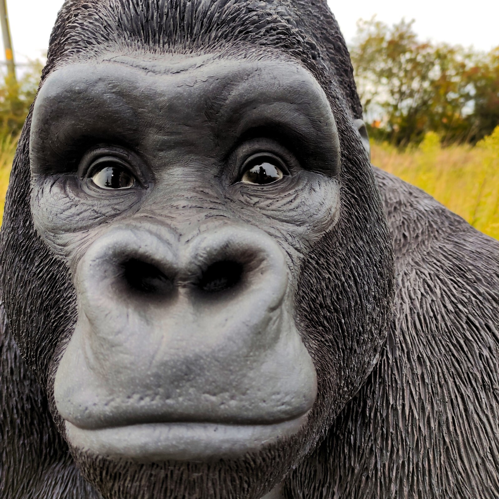 *GIANT GORILLA* - Vivid Arts LIFE SIZE Silverback Gorilla | eBay UK