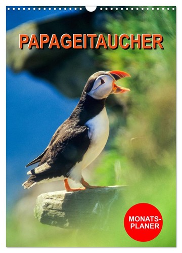 Puffin monthly planner, US-Version (Wall Calendar 2026 DIN A3 Portrait ...