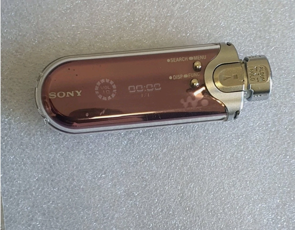 Sony Walkman NW-A607 metallic purple ( 1 GB ) Digital Media Player | eBay