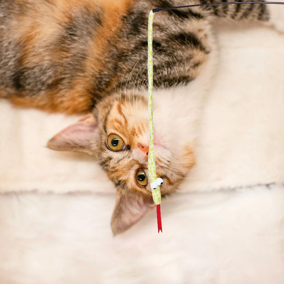 3pcs Cat Snake Toy: Interactive Cat Snake Toy Teaser Wand with Built-in ...