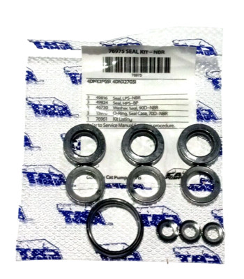 76975 SEAL KIT FOR CAT PUMP 4DNX Pumps 4DNX25GSI , 4DNX27GSI 4PPX25GSI ...