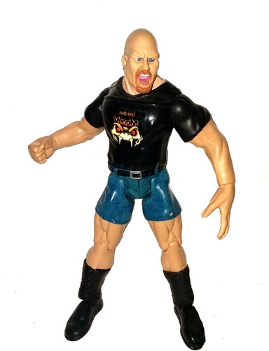 WWE WRESTLING LOOSE TITAN TRON READY SERIES SUPERSTAR WRESTLER STONE ...