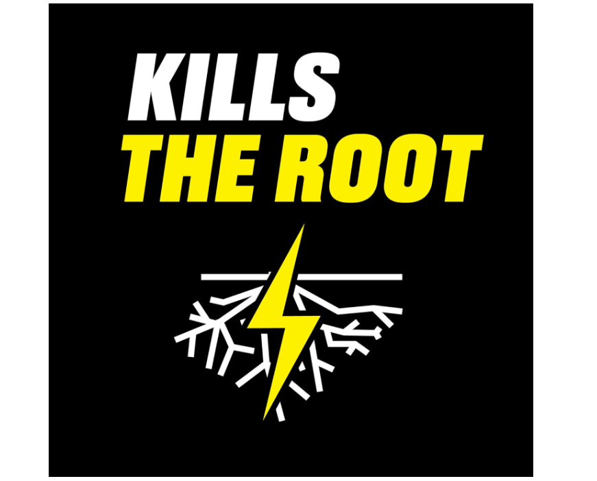 Ortho Ground Clear Poison Ivy Tough Brush Killer Concentrate 32oz ~ New ...