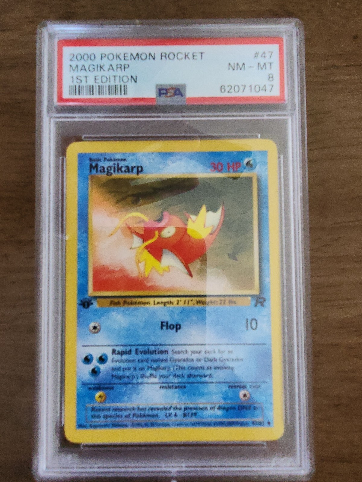 Pokemon 1st Edition Magikarp 47/82 Team Rocket PSA 8 NM/Mint | eBay