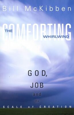 The Comforting Whirlwind: God, Job, and..., Mckibben, . 9781561012343| eBay
