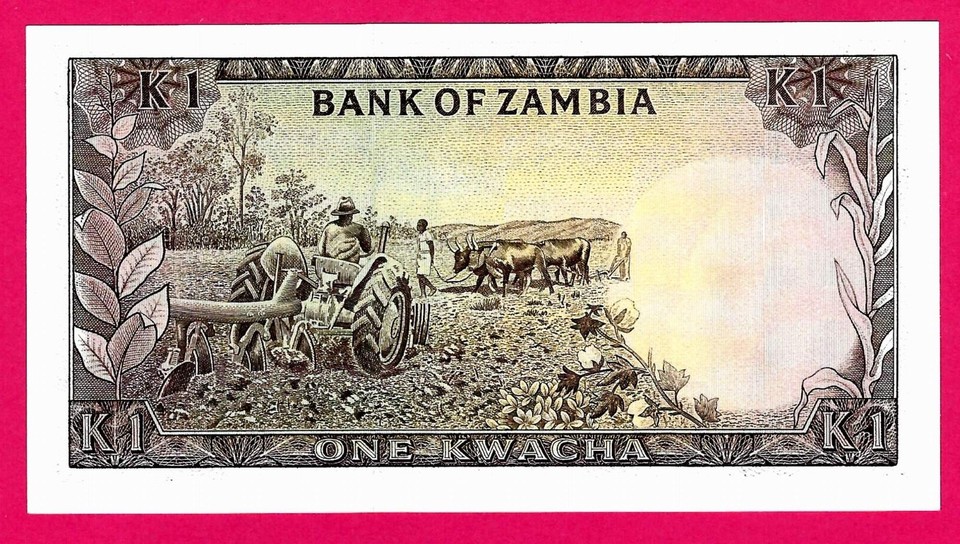 ZAMBIA 1 Kwacha 1976 p19a, UNC | eBay