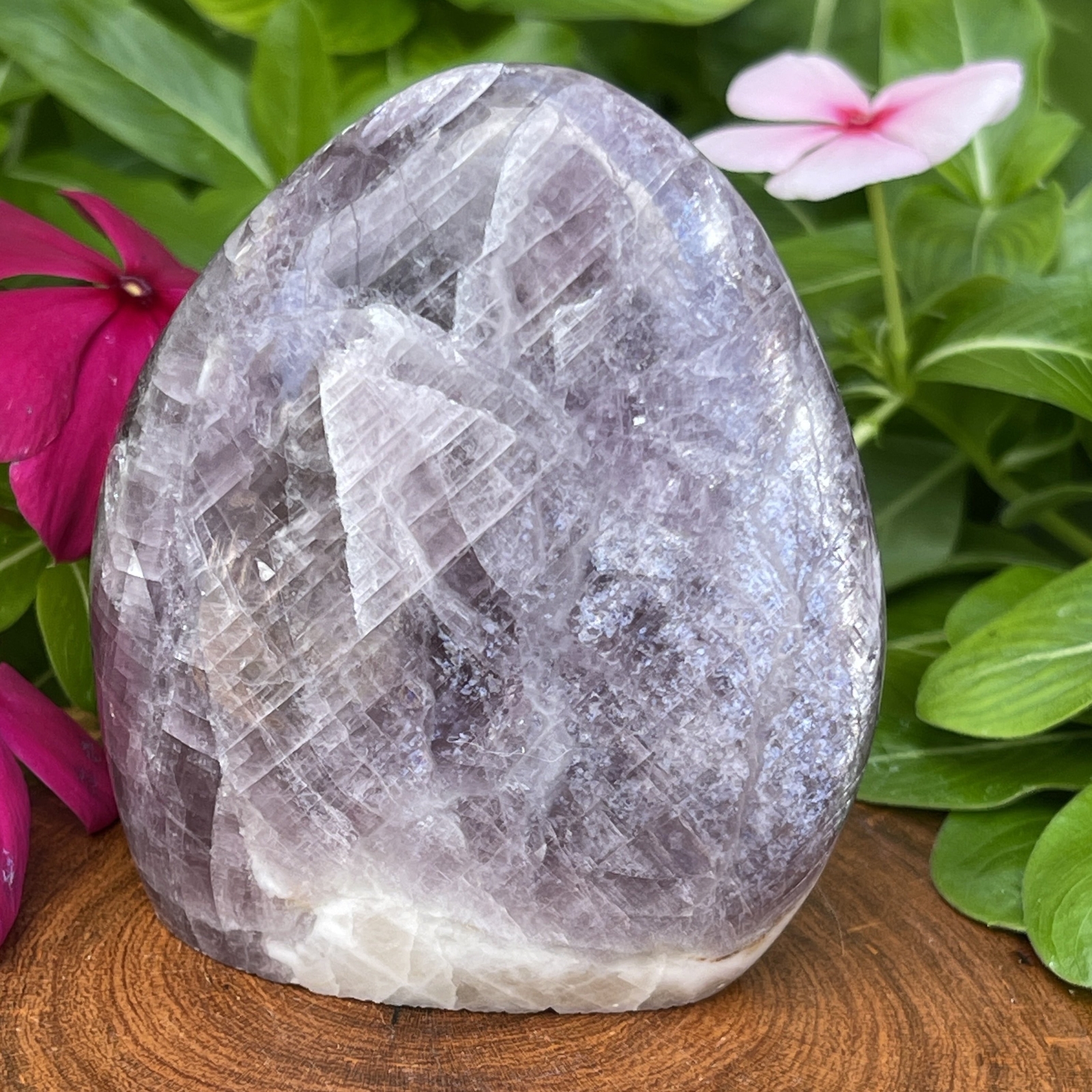 Purple Anhydrite Crystal Rare Purple / Violet Color 262g. | Ascension ...