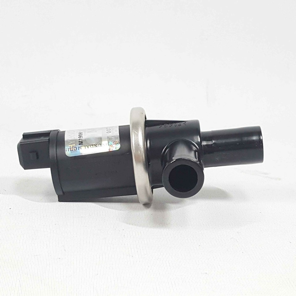 Genuine Oem 3143029200 Canister Close Valve For Hyundai Santa fe 2000 ...