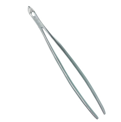 Equine Molar Extraction Forceps 19" Veterinary Instrument Stainless ...