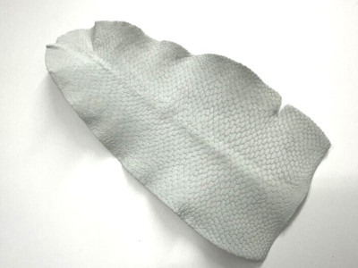 Genuine Beaver Tail Crust Hide Skin Leather exotic fish shark Tanned ...
