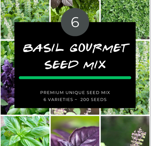 Basil Mix 200+ seeds heirloom herbs. Exotic mix of 6 different basil ...