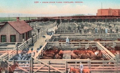 c1912 Union Dock Yards, Portland, Oregon Cattle Pens Hand Colored ...