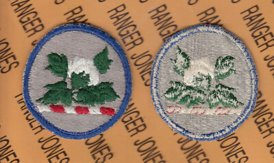 US Army Alabama Army National Guard ARNG patch c/e | eBay