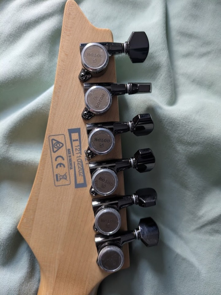 Ibanez S421 + M300C Case + Gotoh Locking tuners | eBay