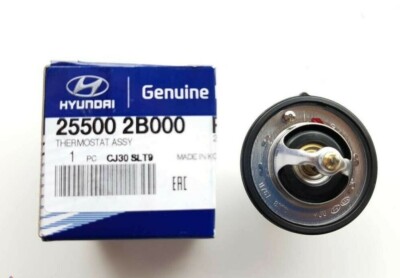 GENUINE BRAND NEW KIA RIO 2014-ONWARDS THERMOSTAT ASSY | eBay