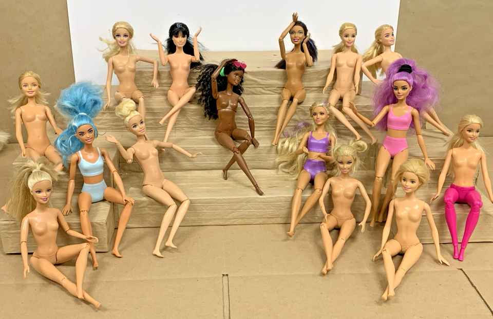 15pc Mattel Articulated Mixed Barbie Friends Fashionista Reveal Jointed ...