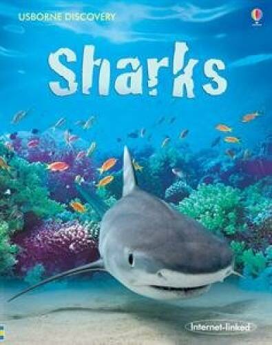 Usborne Discovery Sharks (Internet Linked) - Library Binding - GOOD | eBay