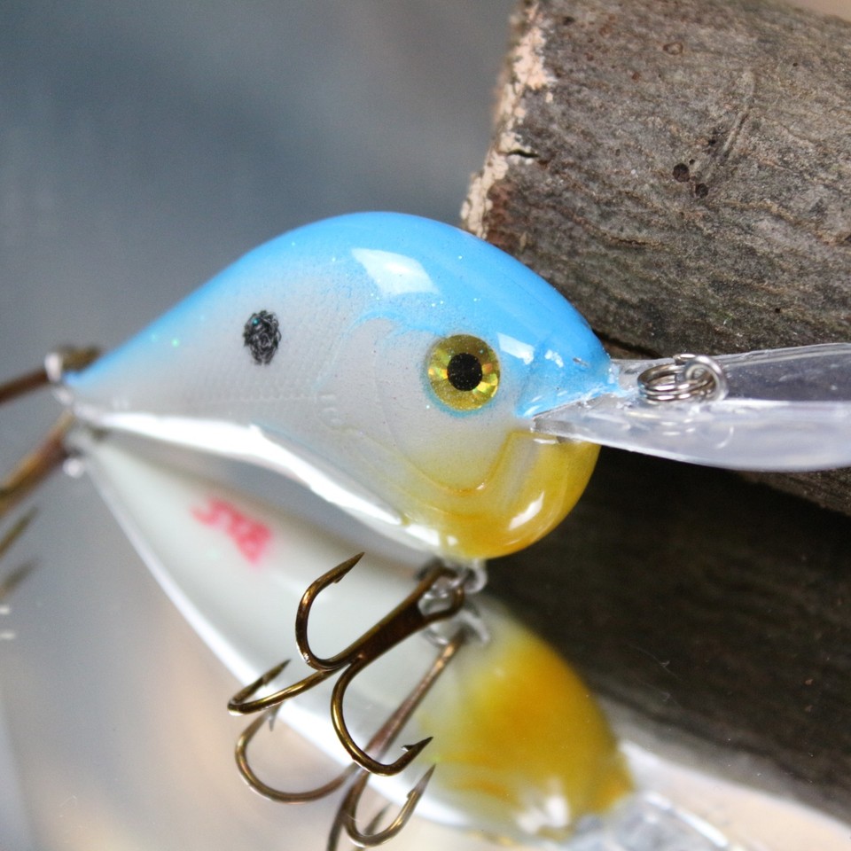 Deep Crankbait Fishing Lure 2.75 Blue Shad Pattern 5-8 ft depth Custom ...