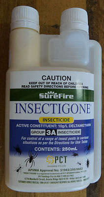 Insectigone 250mL Residual Insecticide Concentrate Delta-M Ants Spiders ...