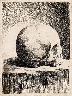 11529.Decorative Poster.Wall art room home decor.Halloween human skull ...