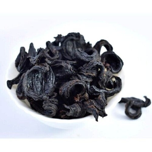 Goraka (garcinia seed best premium quality, sri lanka pure fresh ...