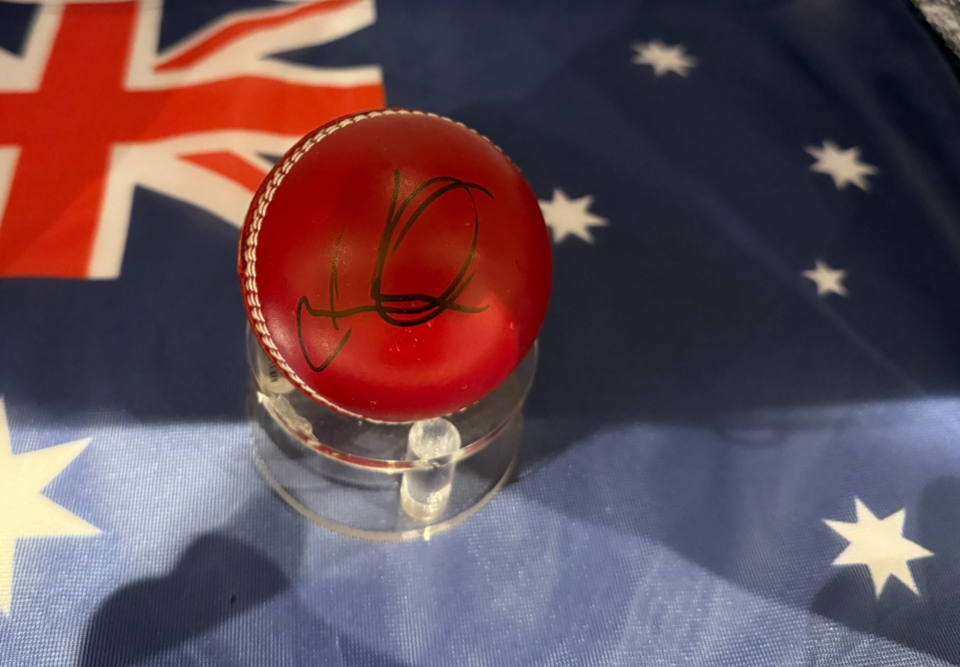 David Warner (Australia) signed Red 156g Autograph Cricket Ball - New ...