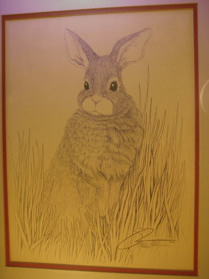 RARE Susan Morrison Eureka Springs Rabbit in Grass Limited Edition ...