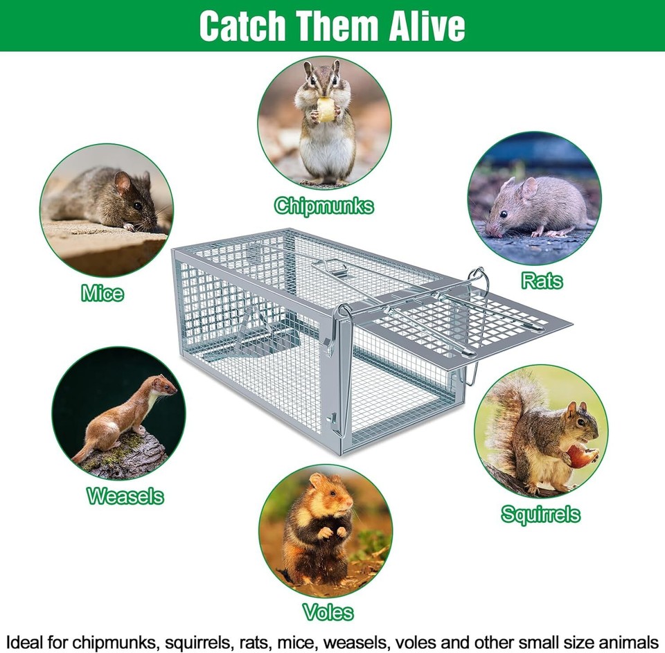1-3pcs Mouse Trap Rat Trap Rodent Trap Live Catch Cage Easy to Set Up ...