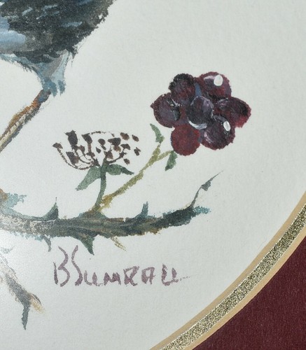 B. Sumrall Original Signed Watercolor BLUE & RED Bird / FRAMED AND ...