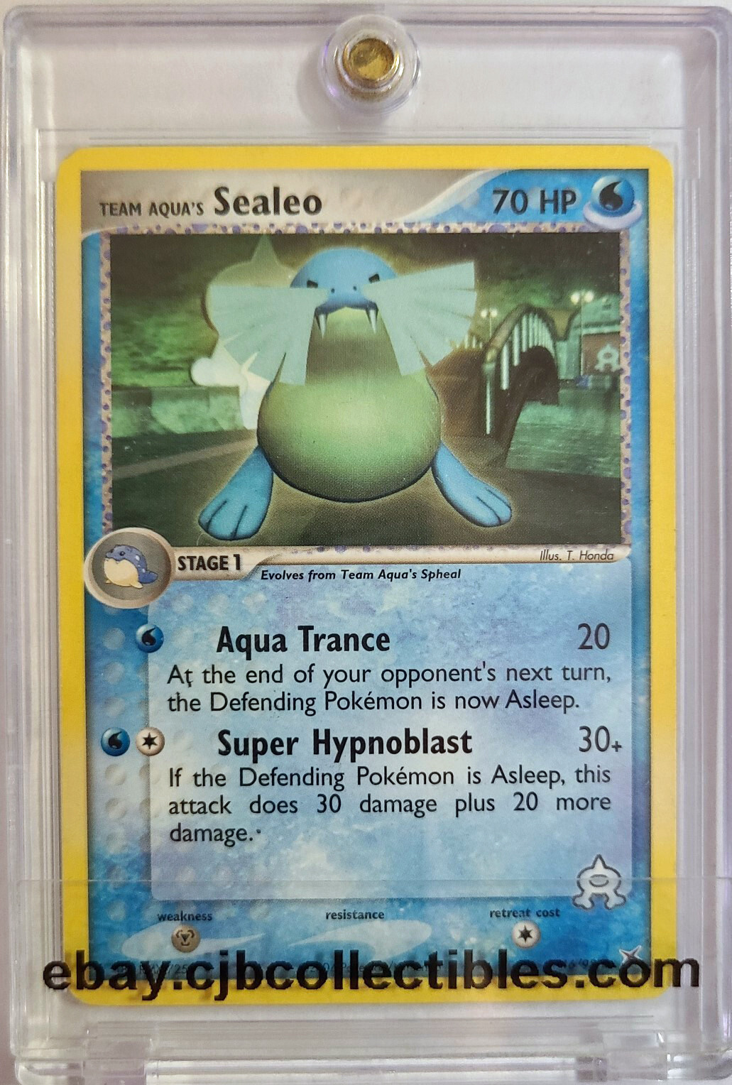 Pokémon TEAM AQUA'S SEALEO 16/95 Rare EX Team Magma vs Team Aqua ...