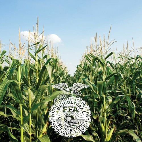 Future Farmers of America FFA Scrapbook Papers & Stickers CHOOSE FROM ...