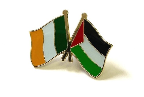 Ireland and Palestine Friendship Flags Metal Pin Badge | eBay