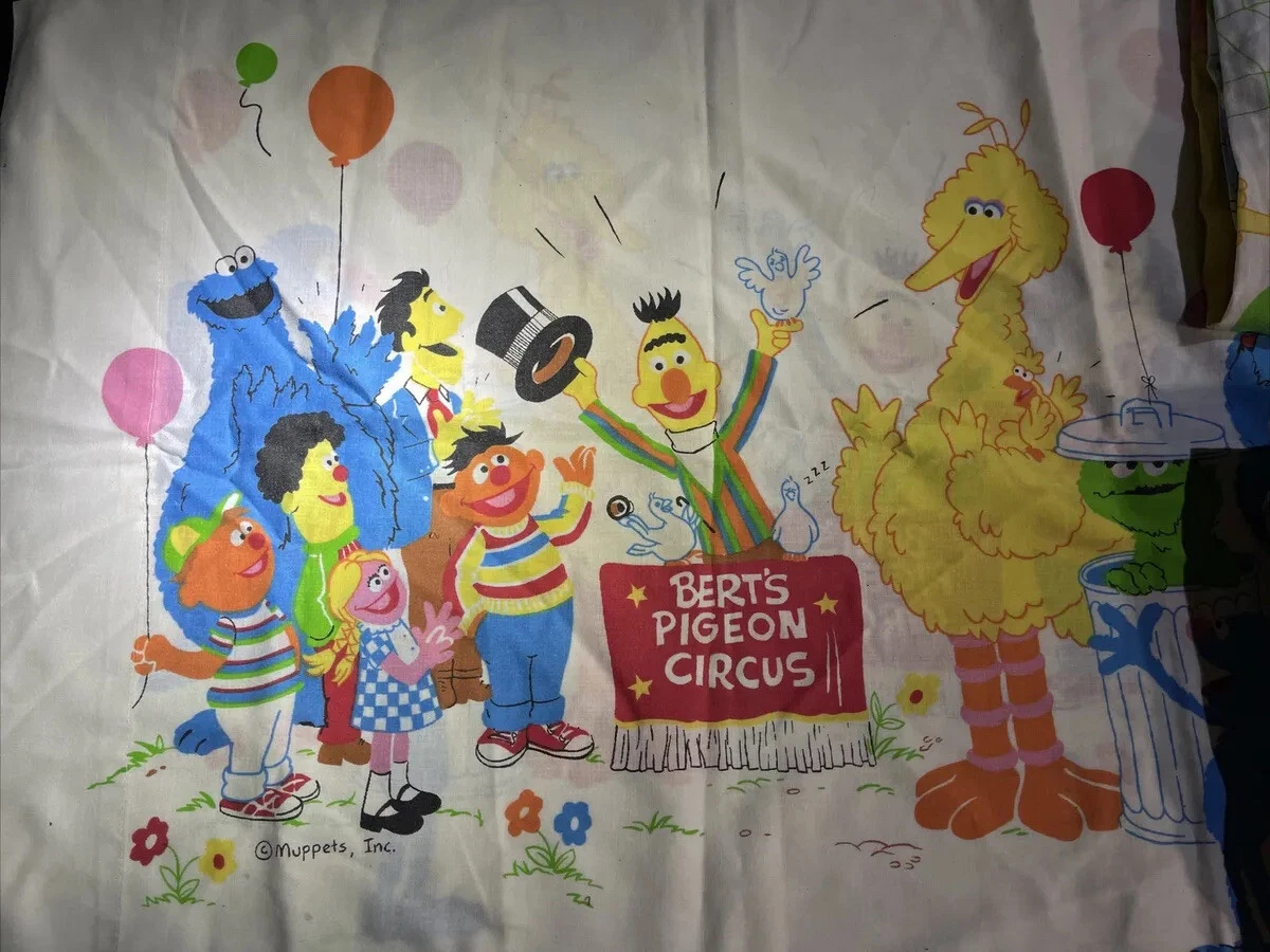 Sesame Street Bert Pigeon