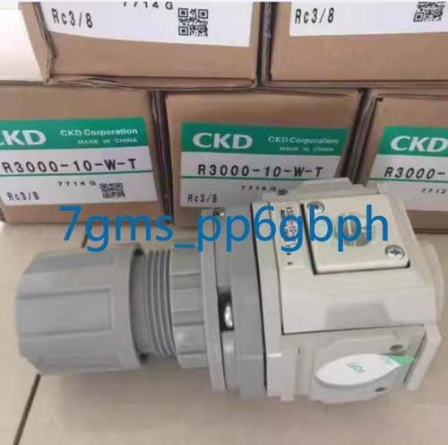1 PCS NEW IN BOX CKD R3000-10-W-T pressure reducing and regulating ...