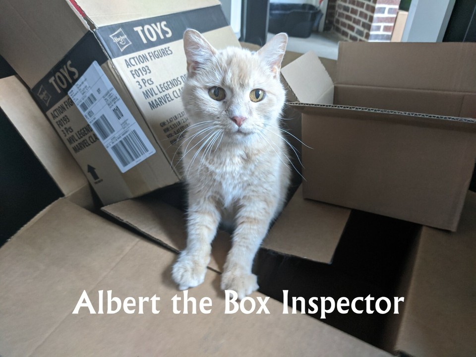 GIANTESS BATTLE ATTACK (2022) FULL MOON, Ivy Smith, Jim Wyrnoski | eBay