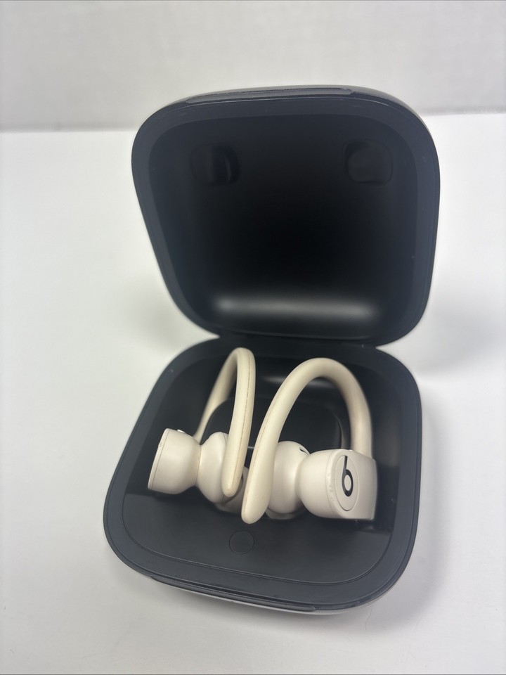 Beats by Dr. Dre PowerBeats Pro A2453 A2454 Wireless Bluetooth Earbuds ...