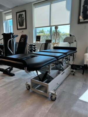 Dynatronics DynaPro D2X Cervical & Lumbar Decompression Chiropractic ...