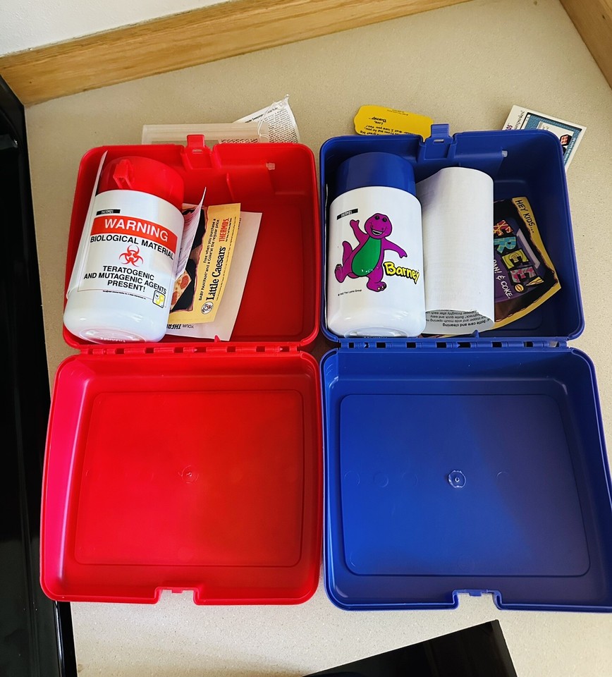 Vintage Jurassic Park & Barney Lunch Box Pail w Thermos 1997 | eBay