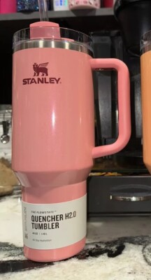 New Rare Winter Shimmer Stanley Cups 40 Oz Winter Berry | eBay